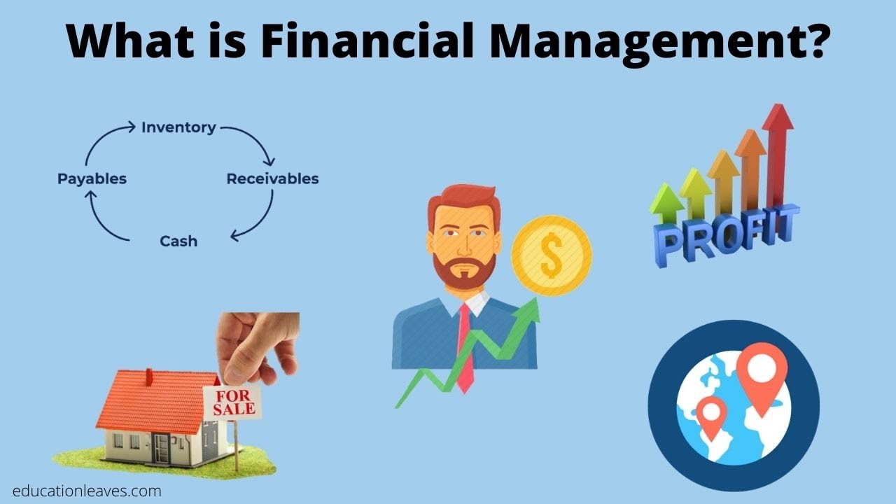 What Is Finance Fox News Hub